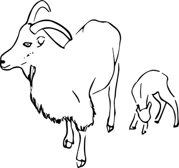 A farkas és a kecskollók - Grimm mesék - Mesenapok